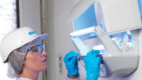 Commercial Fly Control and Fly Elimination Programs | Ecolab